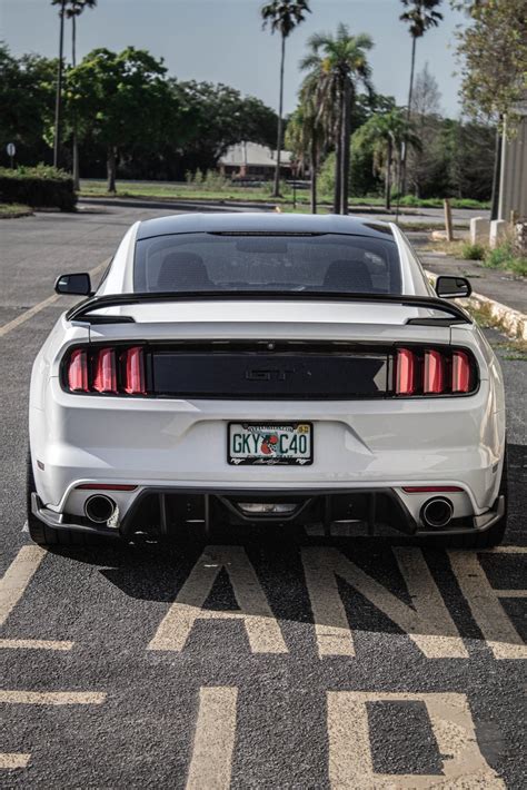 That Ass Rmustang