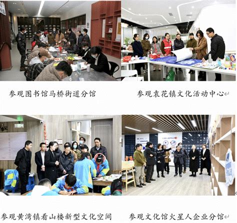 助力公共文化服务现代化先行县创建——浙江海宁召开公共文化服务现代化建设专家研讨会 新华网客户端