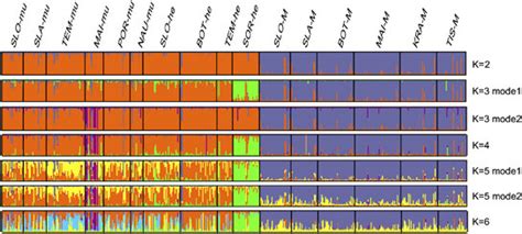 Bayesian Clustering Analysis Of Populations Collected In Russia And