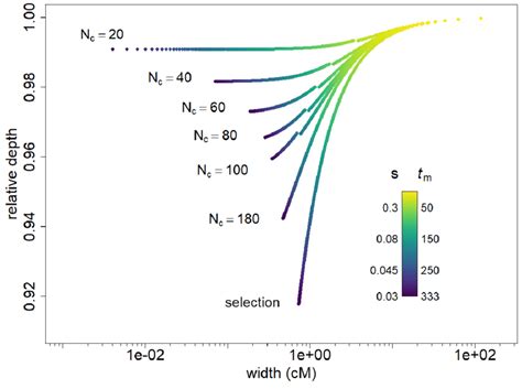 Relative Depth As A Function Of The Width Of The Diversity Troughs For