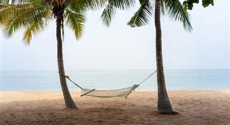 Premium Photo Hammock Rest Relax Between Two Coconut Trees On A
