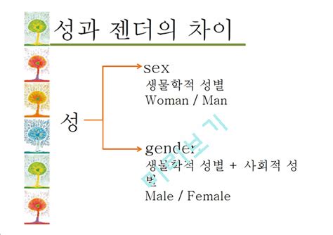 젠더와소비문화 성과젠더 젠더의소비변화 젠더에따른광고비교 메트로섹슈얼 크로스섹슈얼 위버섹슈얼경영경제레포트