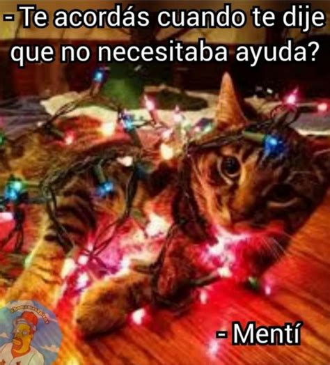Navidad mirá los mejores memes sobre el armado del arbolito navideño