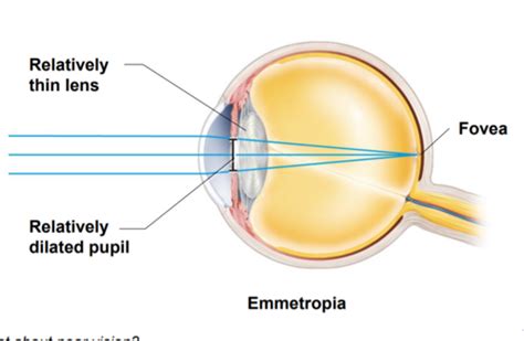 Depth Perception Flashcards Quizlet
