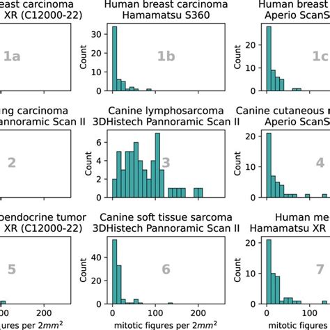 Mitotic Figure Candidates From All Domains Summarized In Table 1 Download Scientific Diagram