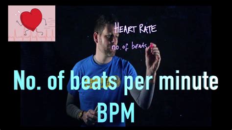 Video 29 Heart Rates Youtube