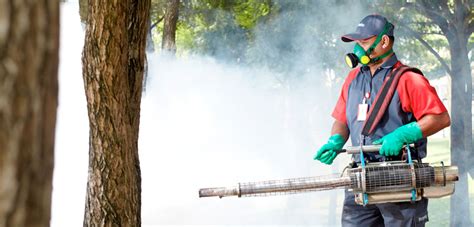 Fumigación Para Mosquitos 】 Mejores Productos Y Métodos