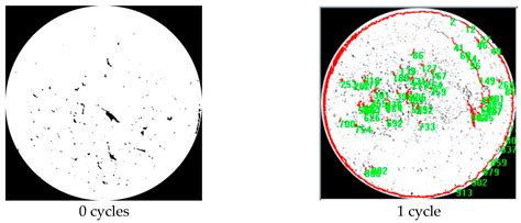 Water Free Full Text Shrinkage Characteristics And Microstructure Evolution Of Yili Loess
