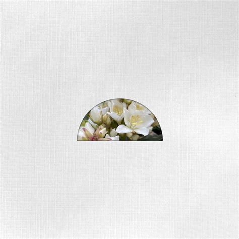 Aquarius Album By Iso Spotify
