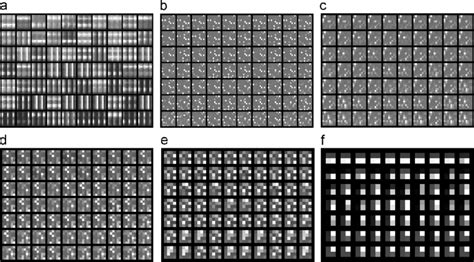 visualization of feature evolution process a primary features b