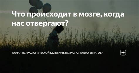 Что происходит в мозге когда нас отвергают Канал психологической