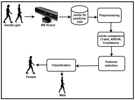 Electronics Free Full Text Real Time Dynamic And Multi View Gait Based Gender Classification