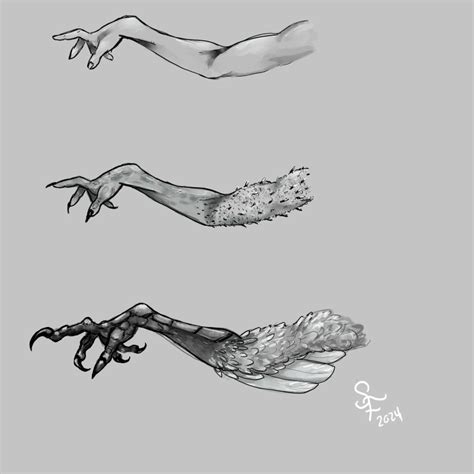 Shelby Fidelman On Linkedin Practicing Human Forms And Transformation