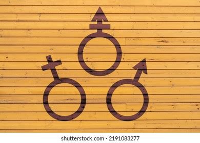 Transgender Sex Gender Symbol Concept Equality Stock Photo 2191083277 Shutterstock