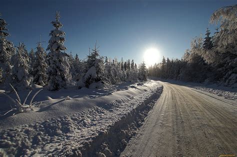 Обои Природа Зима обои для рабочего стола фотографии природа зима снег Обои для рабочего