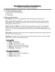 Lab Lab Staining Techniques Morphology Irons Pdf BACTERIAL STAINING TECHNIQUES POSITIVE