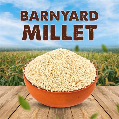 Barnyard Millet Am Smart