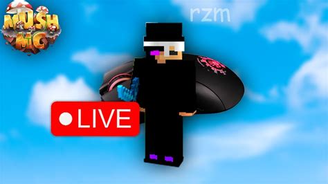 Livezinha Do Dia Tlgd Youtube