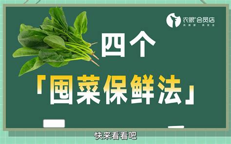 囤菜保鲜大法 好不容易抢到的菜，可别烂掉啦~ 哔哩哔哩