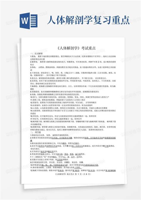 人体解剖学复习重点word模板下载编号qryojveb熊猫办公