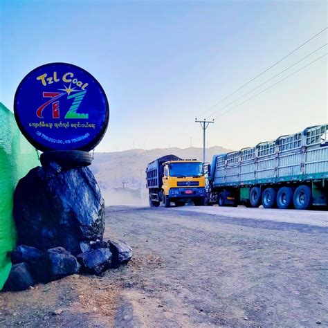 ကျောက်မီးသွေးသိုက်များတွင် ရွှေပါဝင်မှုသည် အလွန်ရှားပါးပြီး၊ သဘာဝအခြေ အနေများအပေါ် မူတည်ကာ အနည