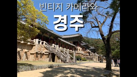🇰🇷빈티지 카메라로 찍은 엄마와의 경주 나들이 Youtube