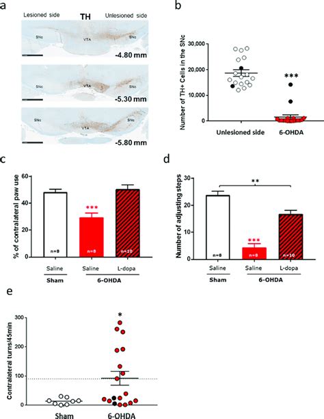 Assessment Of Nigral Loss And Forelimb Use Asymmetry And Akinesia A