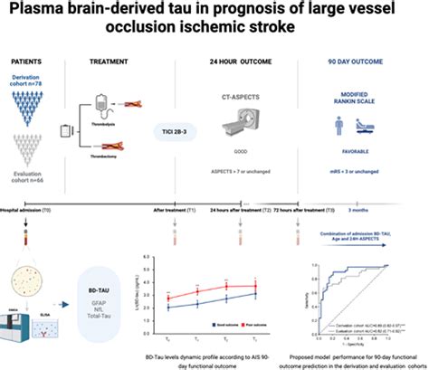 Plasma Brain Derived Tau In Prognosis Of Large Vessel Occlusion