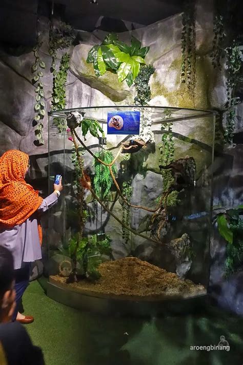 Jakarta Aquarium Neo Soho