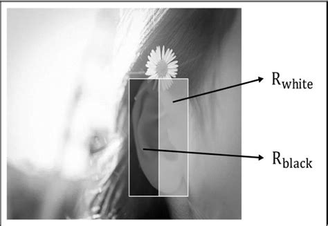 Figure 1 From Vision Based Driver Ear Recognition And Spatial