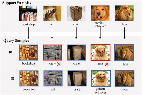 example results with without relation constraint module for few‐shot