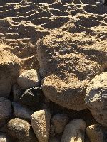 Waste Object Detection Roboflow Universe