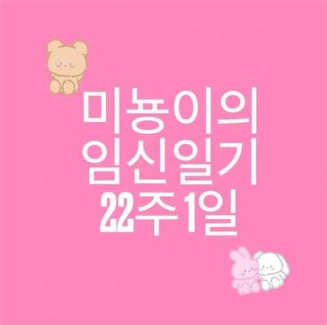 임신일기 22주 1일 중기정밀초음파 태동 태교여행 셀프 토퍼 만들기 네이버 블로그