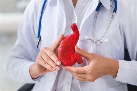 【内脏】胃的解剖及其组织学 Medscicn