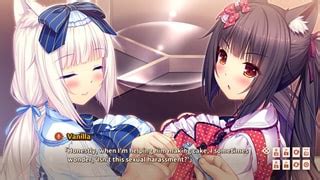 Nekopara Memes Best Collection Of Funny Nekopara Pictures On IFunny
