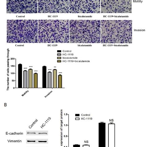 Molecular Subtypes Of Breast Cancer As Regardimmunohistochemical Download Scientific Diagram