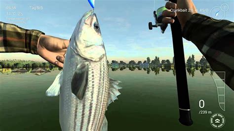 Fishing Planetkaliforniendelta San Joaquin Einzigartiger