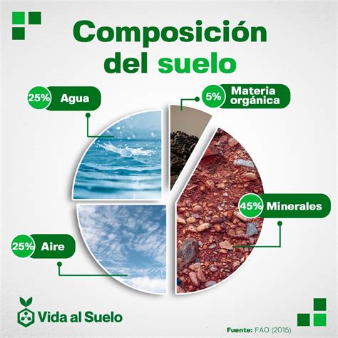 Vida Al Suelo 📌conociendo Los 4 Componentes Del Suelo