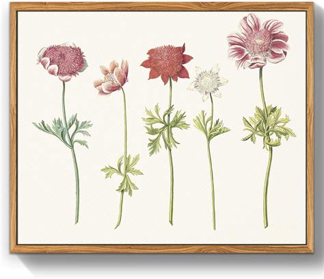 Aefer Floral Framed Wall Art Flower Market Canvas Art Prints Anemones