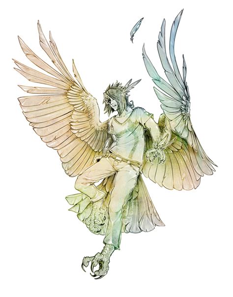 Harpy Mikhail By Rubyfeather On Deviantart Asas Desenho Ilustrações