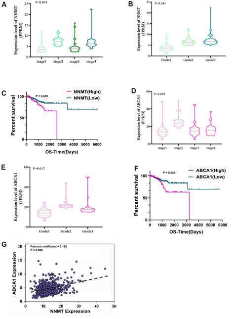 Lipid Reprogramming Induced By The Nnmt Abca1 Axis Enhanced Membrane Fluidity To Promote