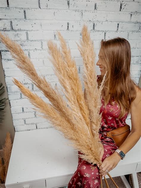 4 Dried Pampass Grass Naturalgolden 3 Stems Style 1 Etsy
