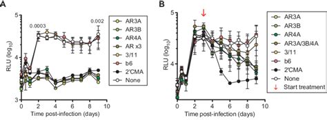 Combination Treatment Of Primary Human Hepatocyte Cultures With Broadly Download Scientific