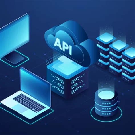 Api Integration Services At ₹ 15000 Month In New Delhi