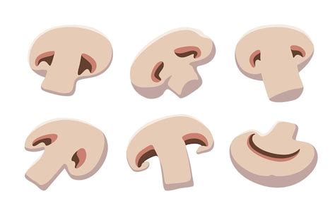 Premium Vector Slices Of Sliced Mushrooms Isolated On A White
