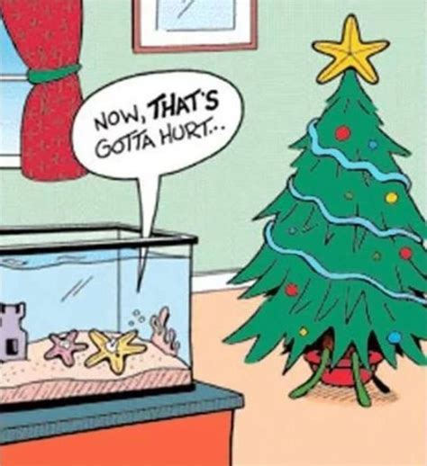 40 Best Funny Christmas Memes And Quotes For Holiday Season Stress Relief