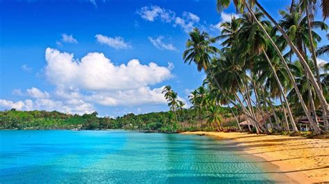 1920 X 1080 Tropical Wallpapers Top Free 1920 X 1080 Tropical
