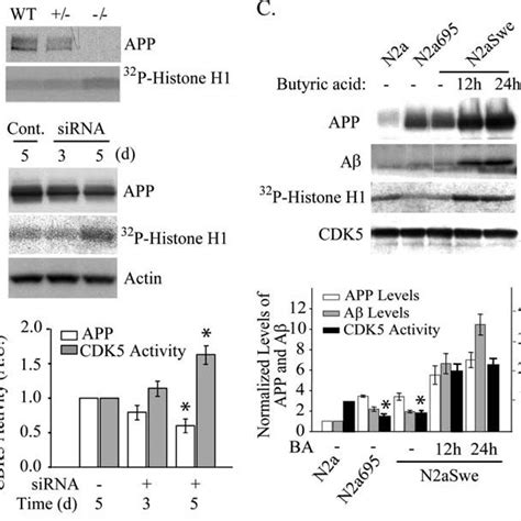 App Deficiency Results In Increased Brain Tau Phosphorylation And Cdk5 Download Scientific