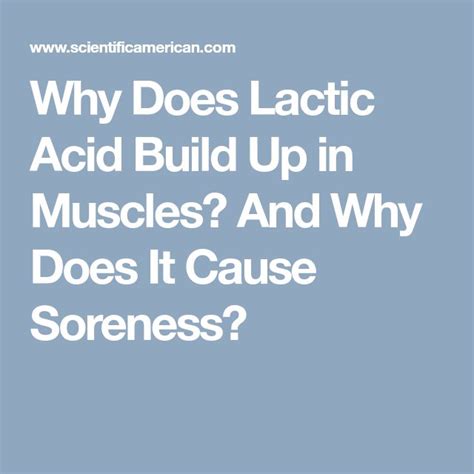 Why Does Lactic Acid Build Up in Muscles? And Why Does It Cause Soreness? | Lactic acid, Complex ...