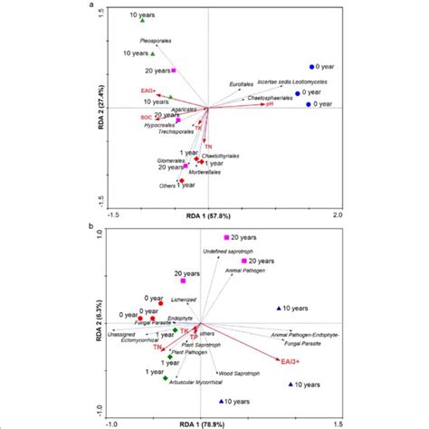 Relative Abundance Of Fungal Functional Groups Guilds In The
